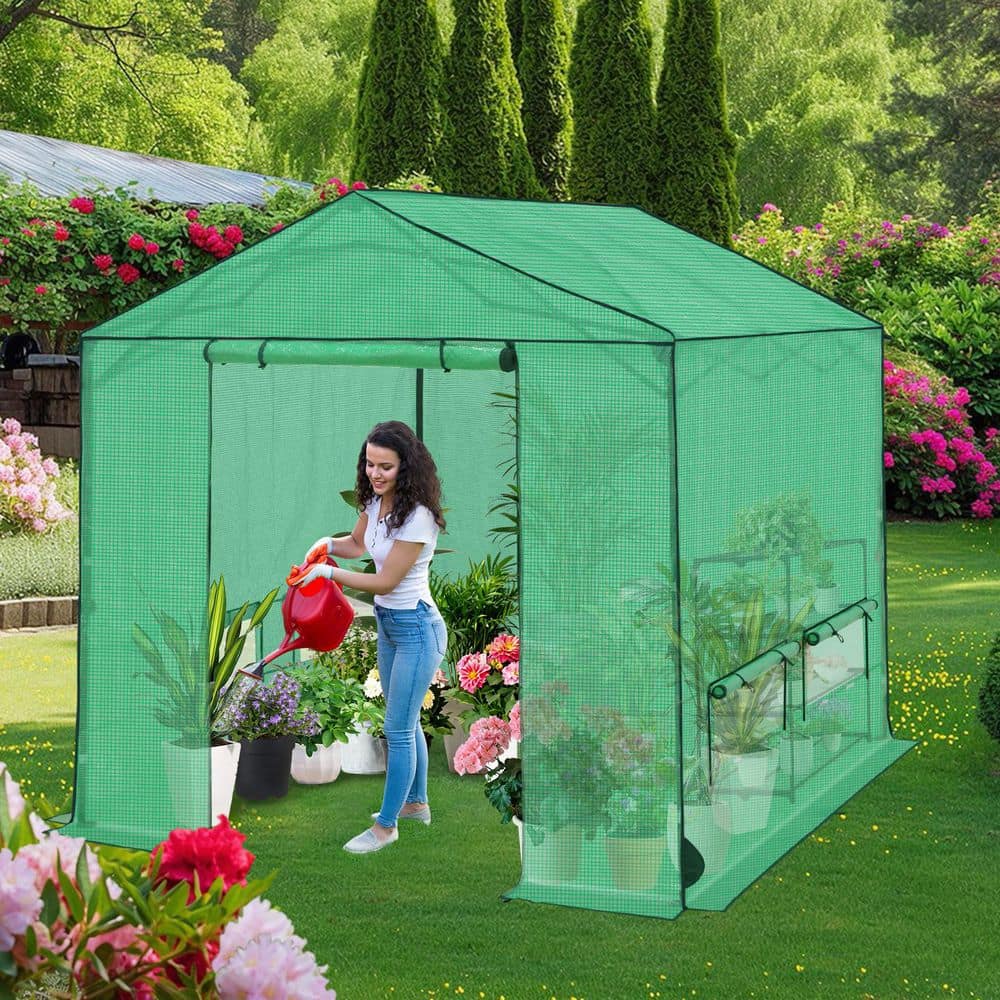 EAGLE PEAK 8 x 8 ft. Pop-up Portable Walk-in Greenhouse, with PE-Cover ...
