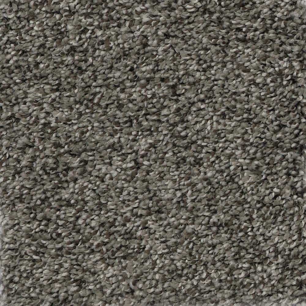 Home Decorators Collection 8 in. x 8 in. Texture Carpet Sample - Trendy ...