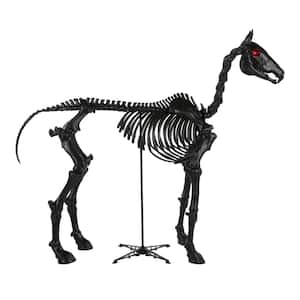 Horse Skeleton Home Depot