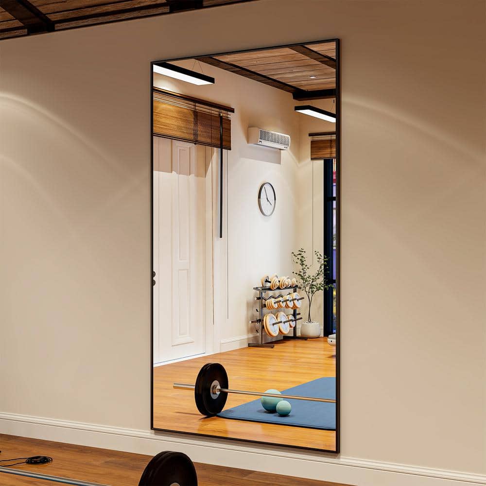 XRAMFY 30 in. W x 71 in. H Rectangular Black Aluminum Alloy Framed ...