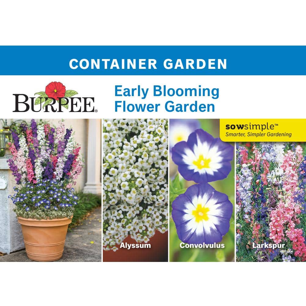Burpee Container Garden, Early Blooming Flower Garden Seed 33617 - The ...