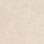 Wilsonart 5 ft. x 10 ft. Laminate Sheet in Almond Leather with Matte ...
