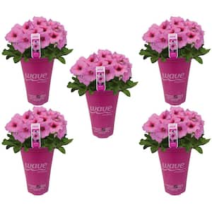 EASY WAVE 1.5 pt. Yellow Easy Wave Petunia Annual Plant with Light ...