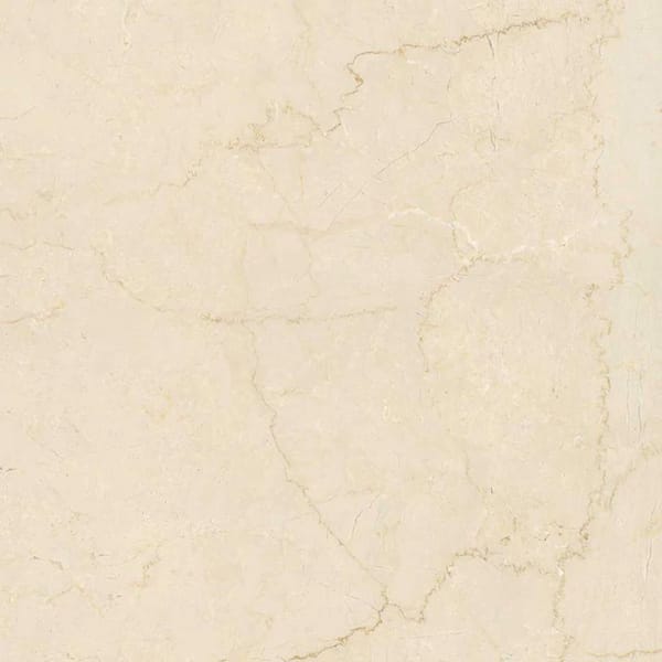 Apollo Tile Regalia 12 in. x 12 in. Matte White Porcelain Veining Tile ...