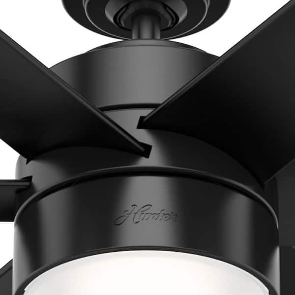 Hunter 72 Inch Ceiling Fans | Shelly Lighting