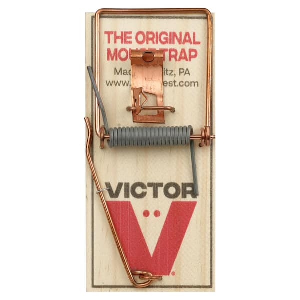 Victor Mouse Traps Top View The 4 Best Mouse Traps, Reviewed By BHG
