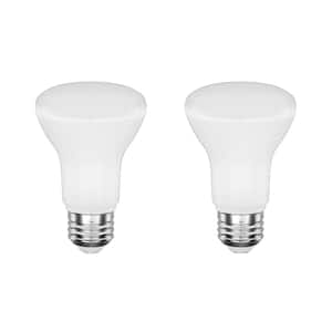 BR20 - LED Light Bulbs - Light Bulbs - The Home Depot