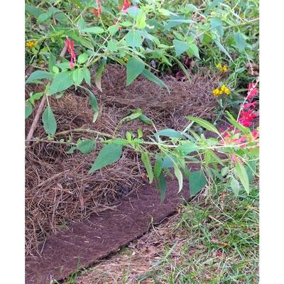 Wood - Wood Edging - Landscape Edging - The Home Depot
