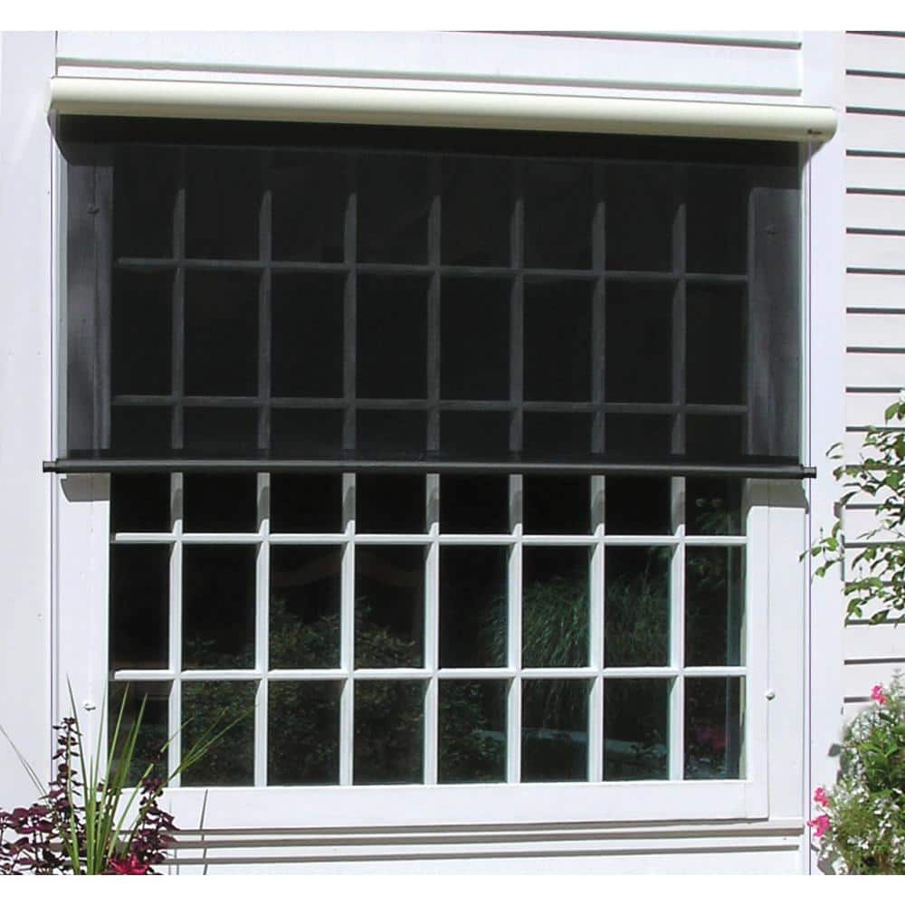 Bali Essentials Cream Corded Light Filtering Motorized Vinyl Exterior Solar Shade Right Motor With Cream Cassette 96 in. W x 84 in. L 23308 The Home