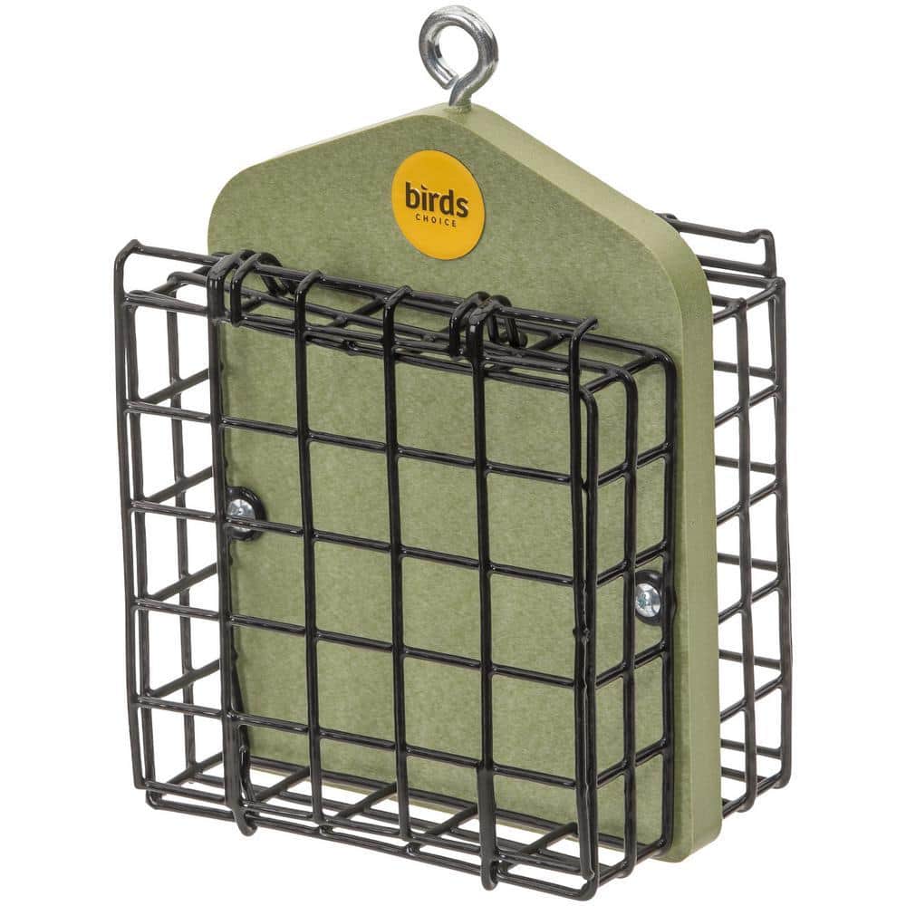 BIRDS choice Suet Feeder for 2-Cakes in Fern Green Recycled Plastic ...