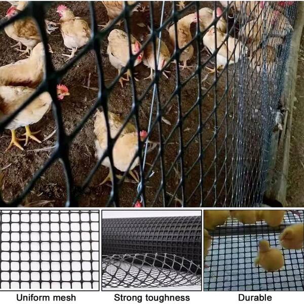 Temporary Fencing For Chickens
