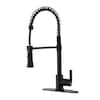 Ultra Faucets Euro Spring Spout Single-Handle Pull-Down Sprayer Kitchen ...