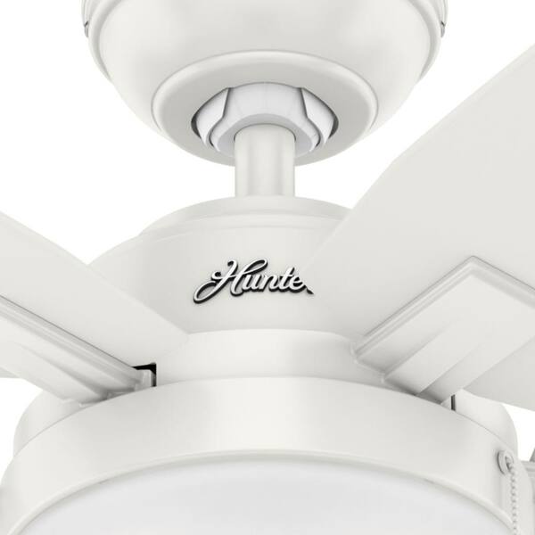 Ceiling Fan Hunter Antero | Shelly Lighting