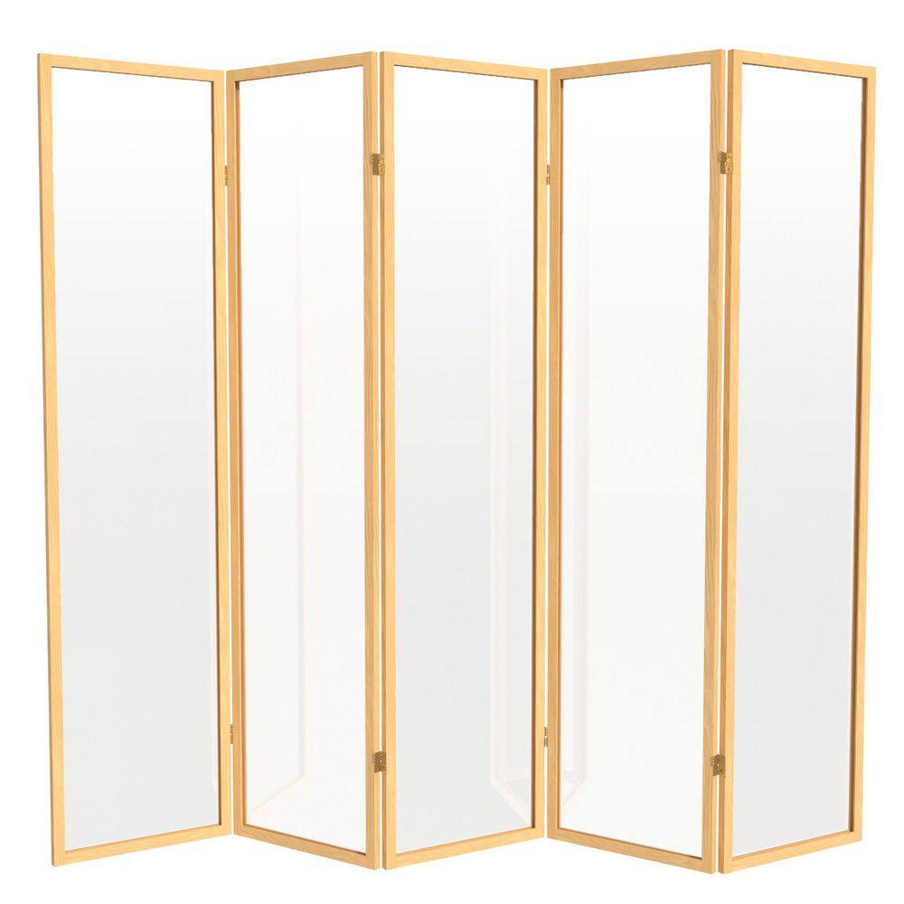 RED LANTERN 6 ft. Tall Clear Plastic Partition Natural 5 Panel SH-6PLAS ...