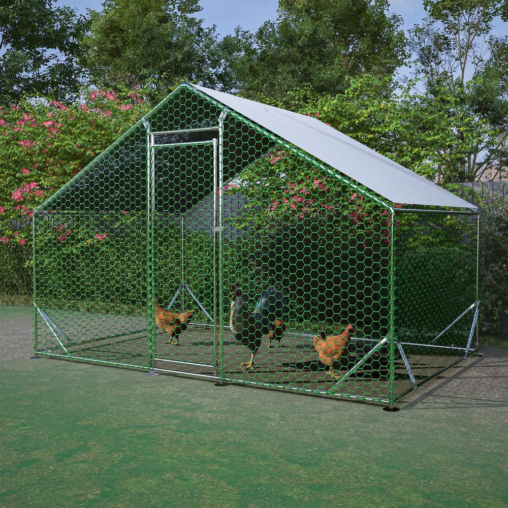 Thanaddo 10 ft. x 6.6 ft. Large Galvanized Chicken Coop Metal Walk in ...