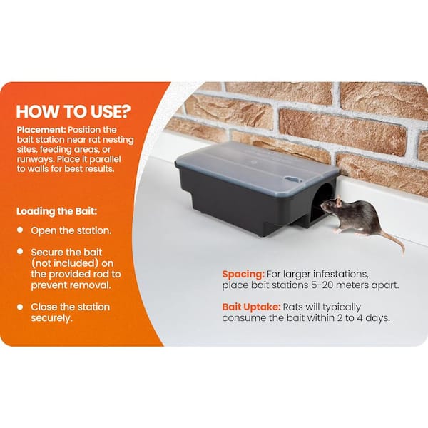 Outdoor rat traps store
