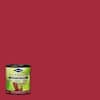 Wolman 1 qt. Colonial Red Outdoor Furniture Exterior Paint (2 Pack ...