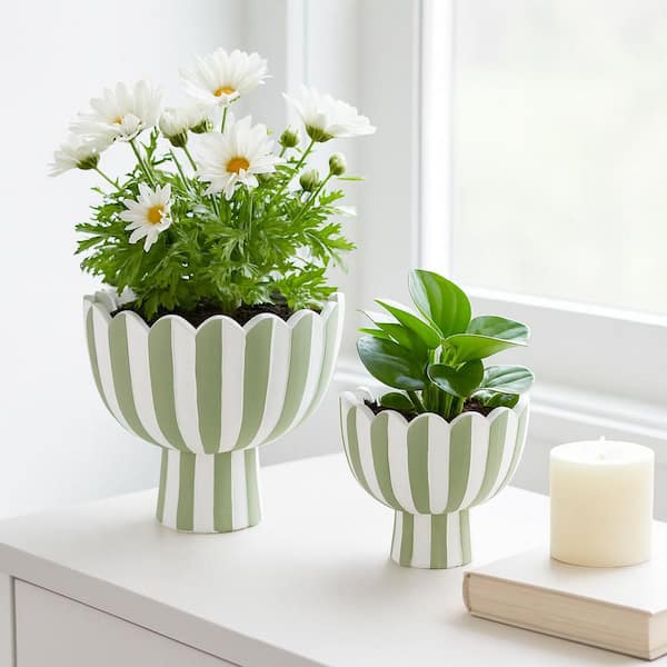 Liv & Skye 7 in. and 9 in. Green Ceramic Scallop Edge Striped ...