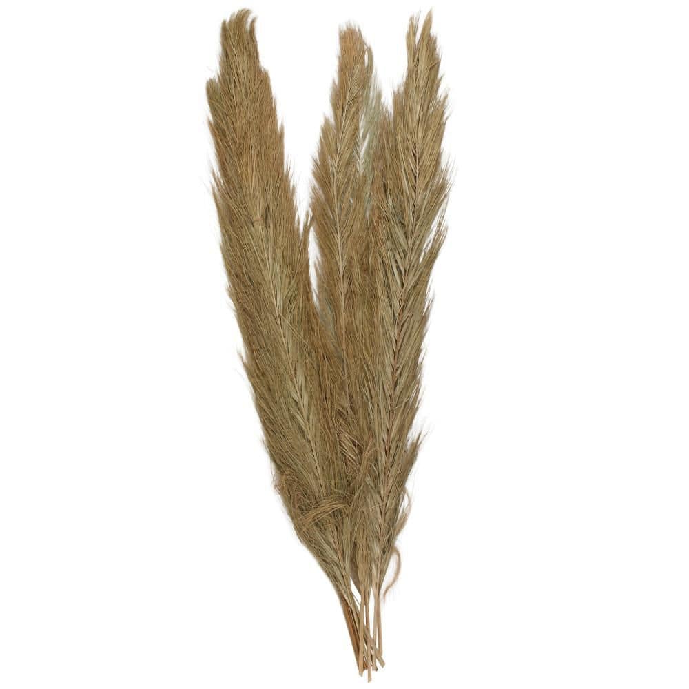 Litton Lane 60 in. Tall Natural Foliage (One Bundle) 047396 - The Home ...