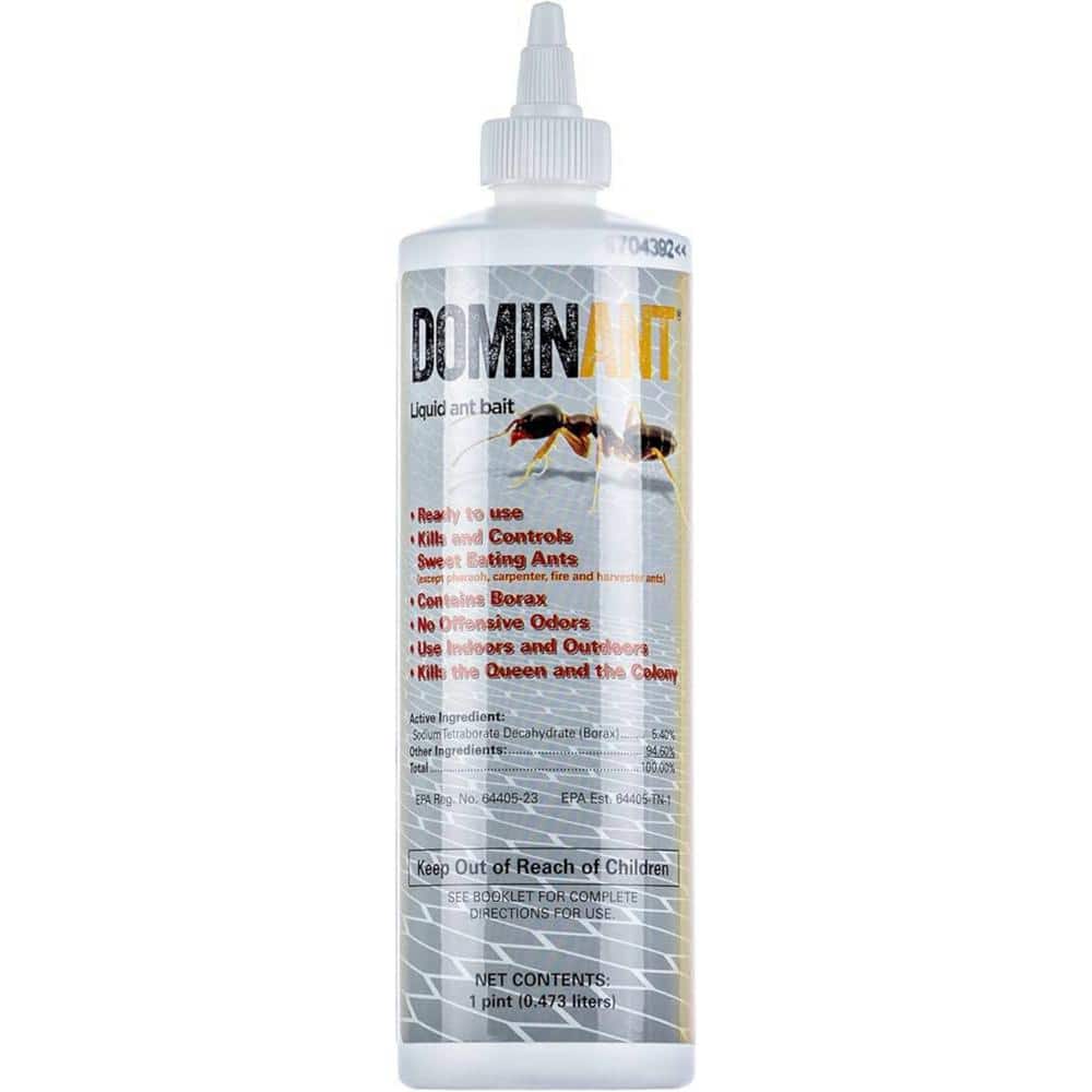 NISUS Dominant 16 oz Ant Bait Liquid Borate Ant Poison Insect Killer ...