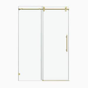 LIVACA 56-60 in. W x 62 in. H Bypass Frameless Tub Door in Chrome with ...