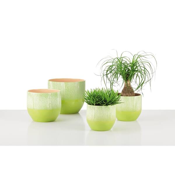 Home Décor Scheurich Pottery Planter Home & Living etna.com.pe