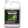 ENVIROCOLOR 4,000 sq. ft. 4 EverGreen - Green Grass Colorant ...