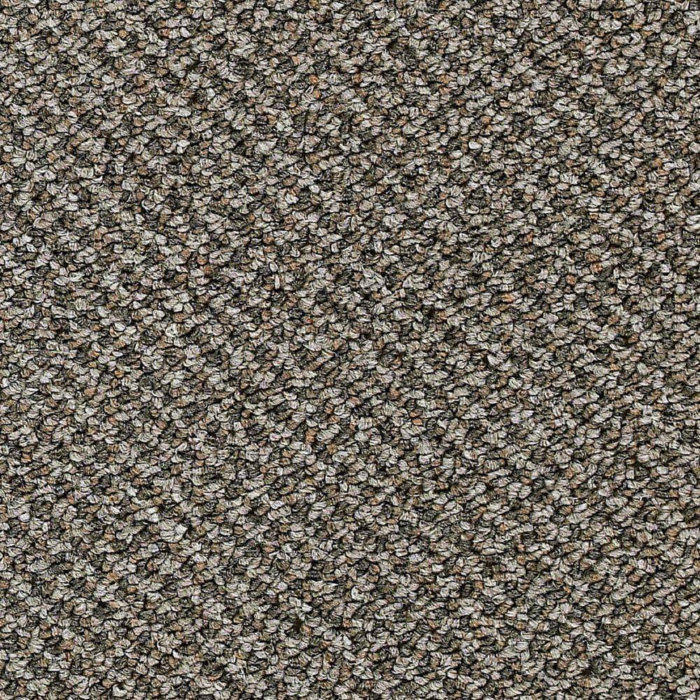 TrafficMaster Desert Oasis - Color Sandstone Loop 12 ft. Carpet 6841 ...