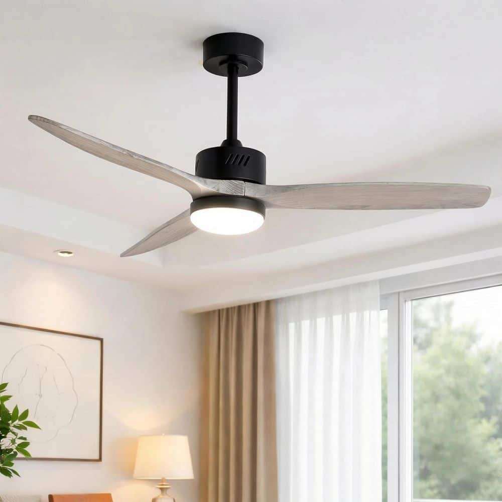 MODERN HABITAT 52 in. Integrated LED Indoor Black Downrod Standard ...
