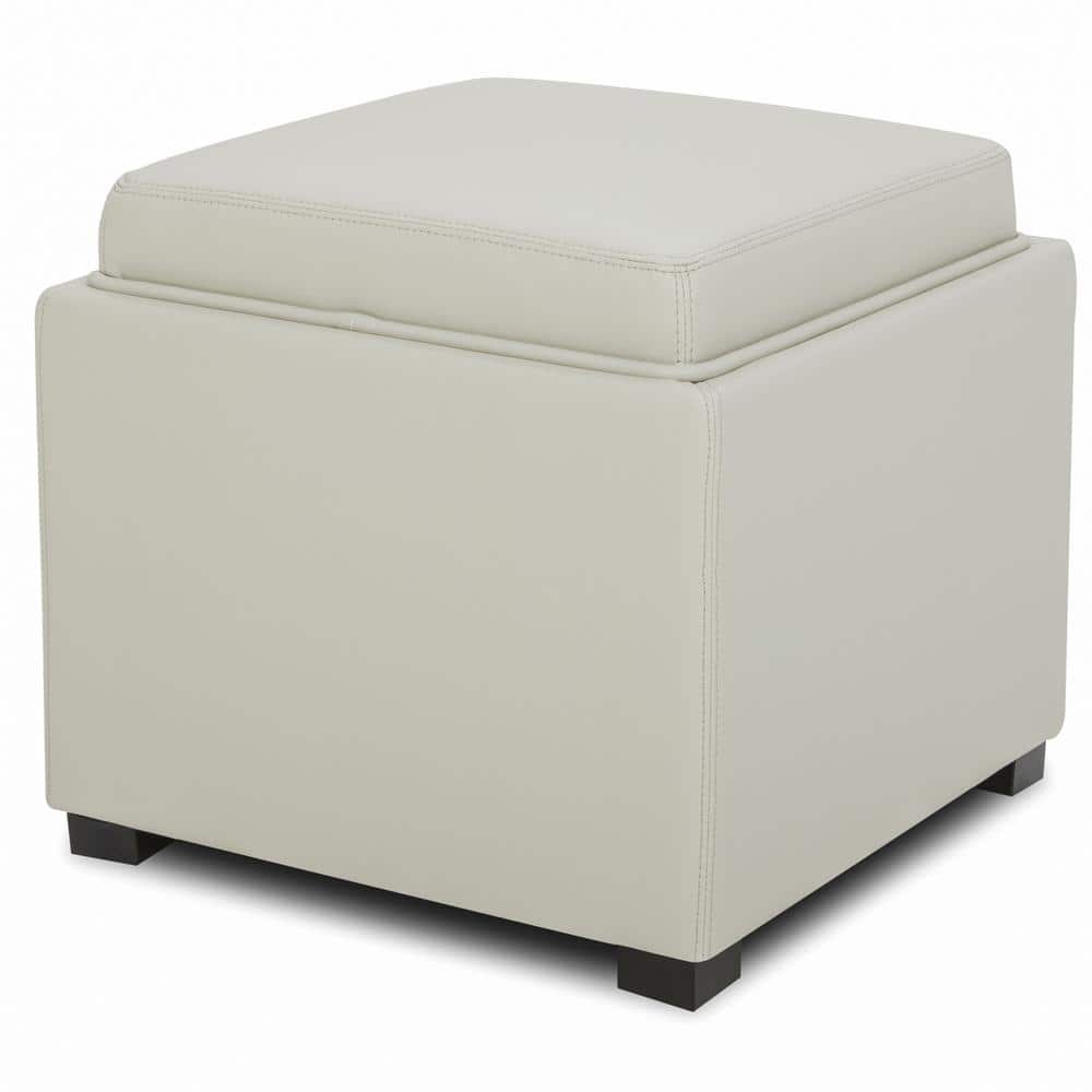 Spruce & Spring Riley 18 in. Wide Leather Contemporary Square Storage ...