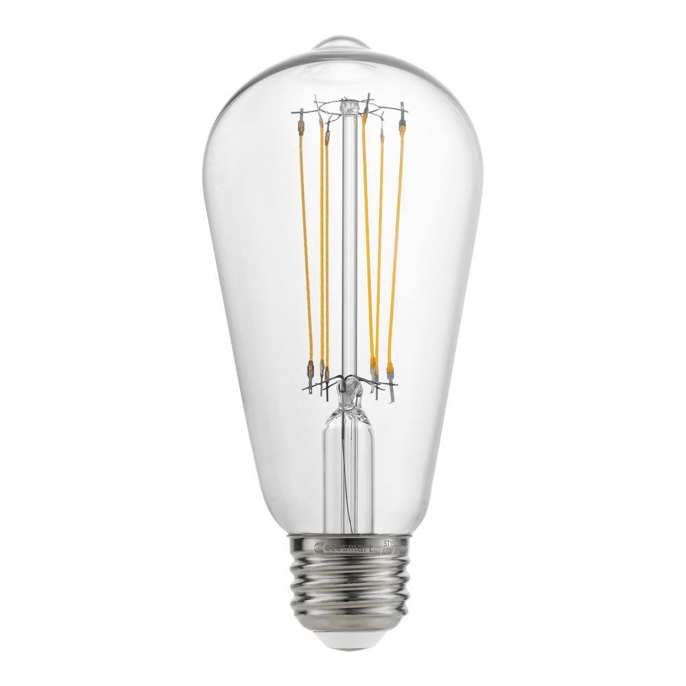 EcoSmart 40-Watt Equivalent ST19 Dimmable Cage Filament LED Vintage ...