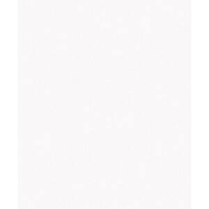 Textures Collection Silver Plain Glitter Finish Vinyl on Non-Woven Non ...