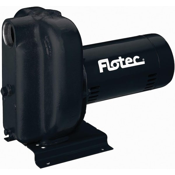 Flotec 1.5 HP High-Capacity Cast Iron Sprinkler Pump FP5242 - The Home ...