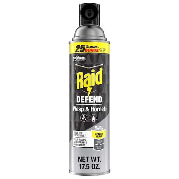 Real-Kill 17.5 oz. Ant and Roach Insect Killer Aerosol Spray HG-96320 ...