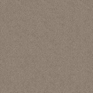 Home Decorators Collection 8 in x 8 in. Texture Carpet Sample ...
