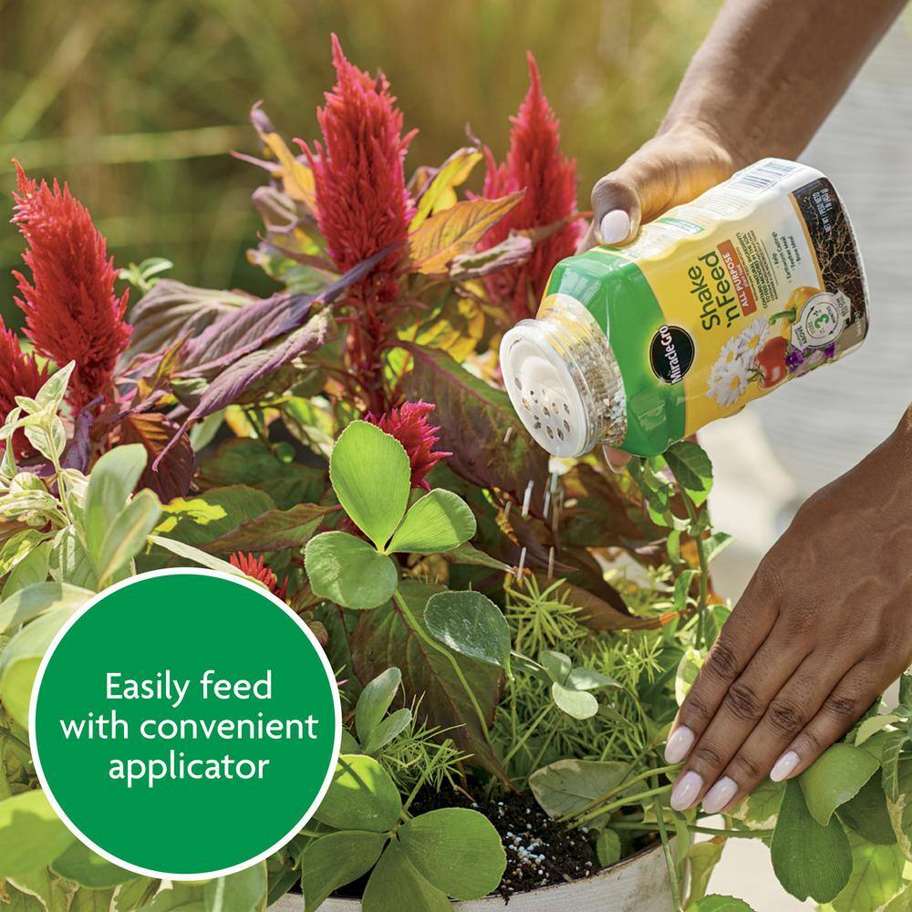 Buy Shake 'N Feed All Purpose Plant Food Online at Lowest Price in ...