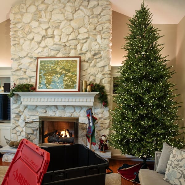 Husky 170 Gal. Pro Grip Storage Tote in Black with Red Lid 999-170G ...