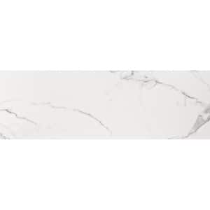 EMSER TILE Marquesa Floret 15.67 in. x 47.17 in. Matte Patterned Look ...