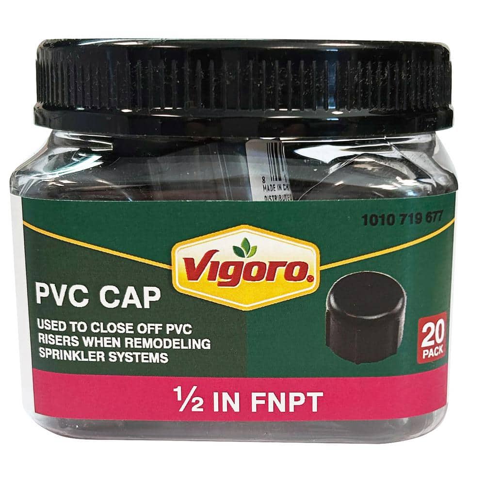 Vigoro 1/2 in. PVC 80 FNPT Cap Fitting Jar (20-Pack) PVC80CAP20JR - The ...