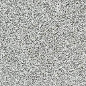 TrafficMaster 8 in. x 8 in. Texture Carpet Sample-Friendship Fables ...