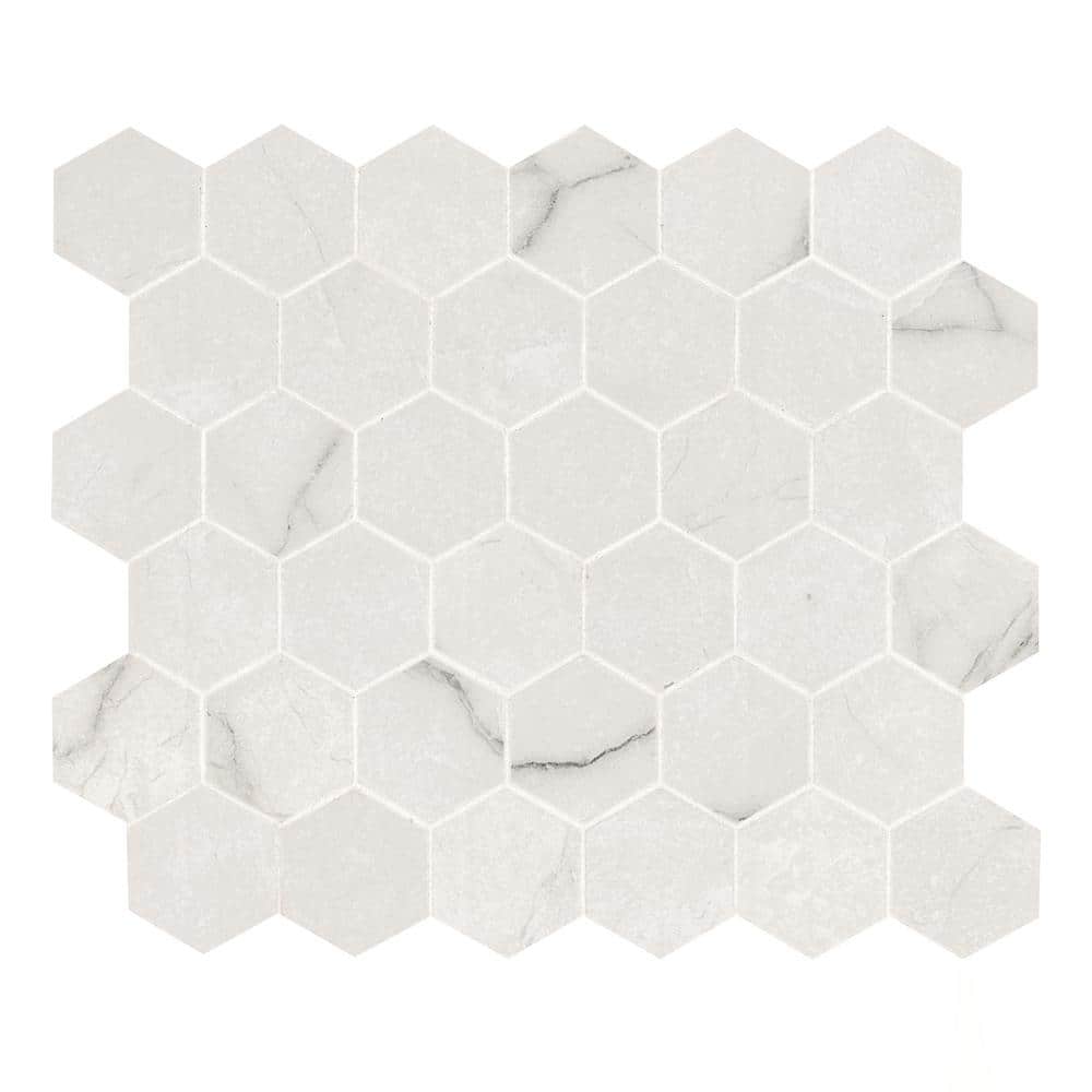 Have a question about MSI Briella Gray Hexagon 12 in. x 12 in. Polished ...