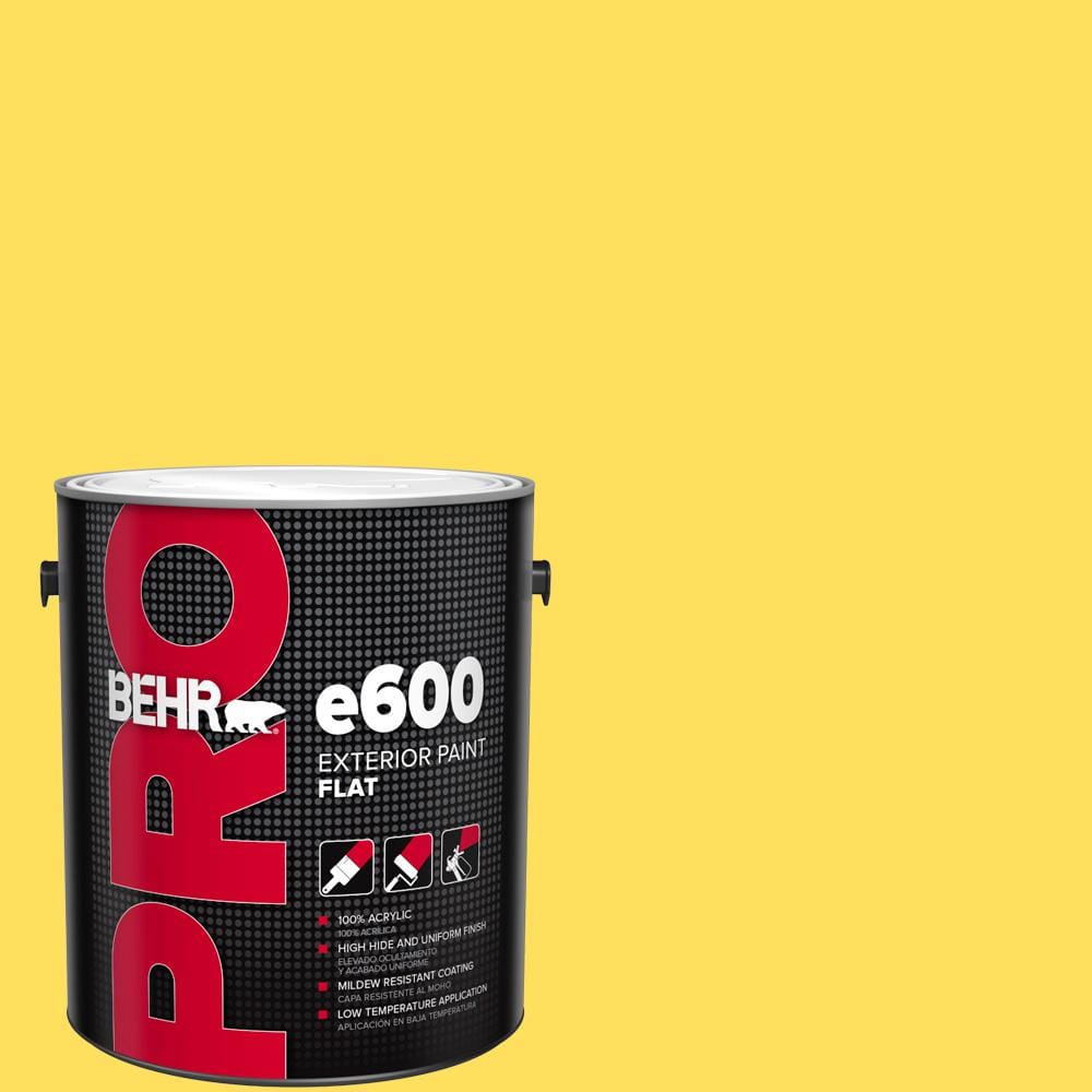 BEHR PRO 1 gal. #380B-5 Neon Light Flat Exterior Paint PR61301 - The ...