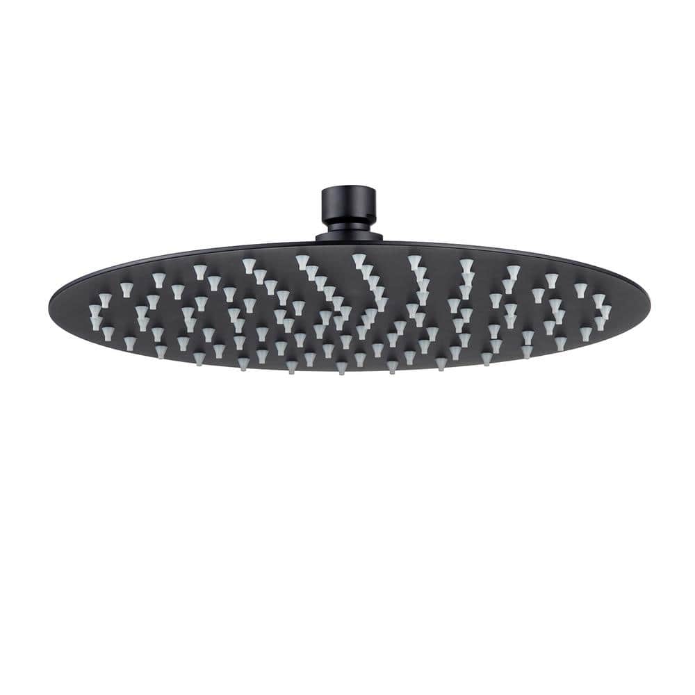 RAINLEX 1-Spray Patterns with 2.5 GPM 10 in. Round Wall Mount Metal ...