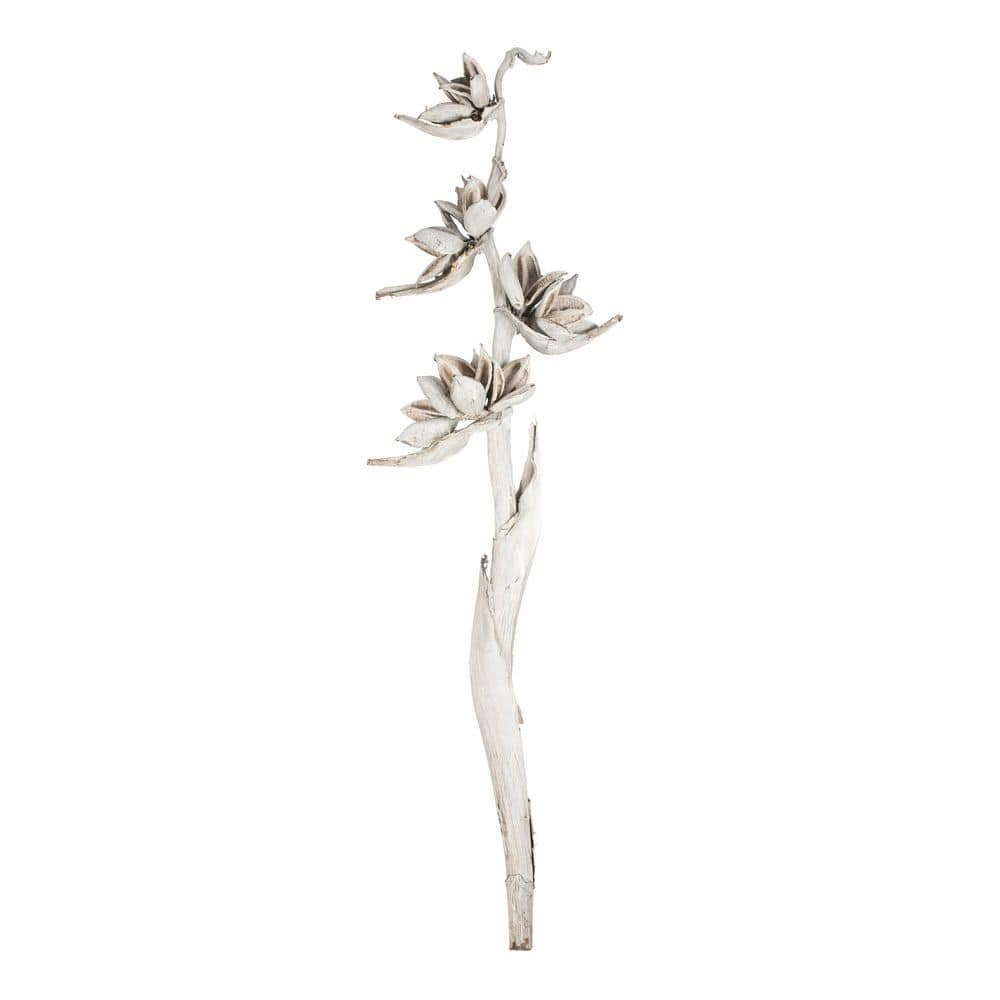 Vickerman 5-6 ft. White Preserved Star Pod Leaf Stem, 1 stalk H2SPS900 ...