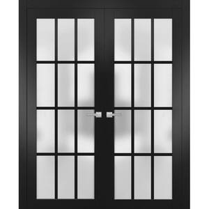 Sartodoors 48 in. x 80 in. 2 Panel Black Matte Finished Solid Wood ...