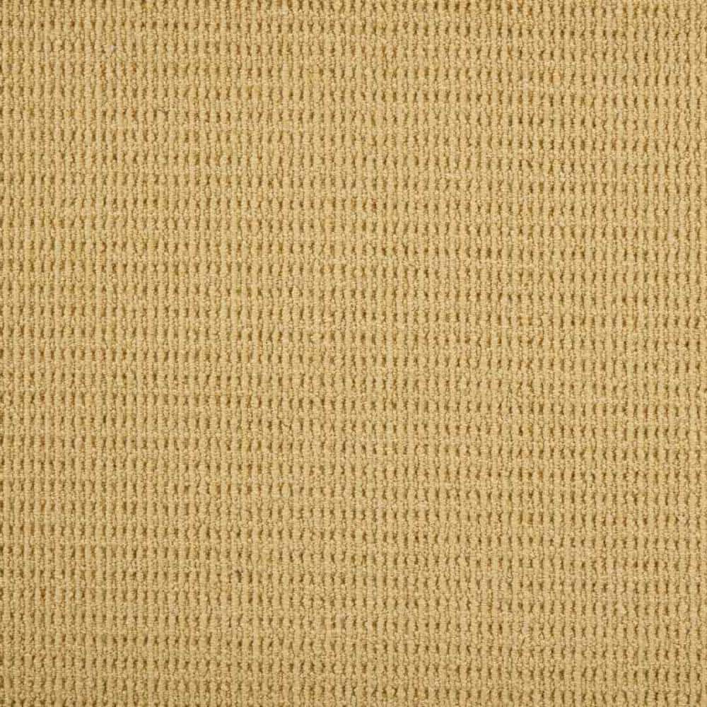 Lifeproof Carpet Sample - Terrain - Color Straw Loop 8 in. x 8 in. NU ...