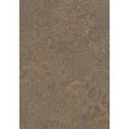 Marmoleum Cinch Loc Seal Seashell 9.8 mm T x 11.81 in. W x 35.43 in. L ...