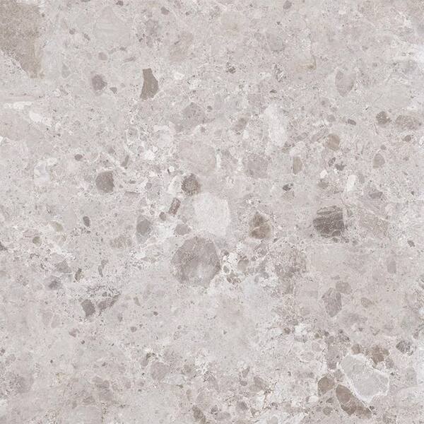 Apollo Tile Regalia 4 in. x 4 in. Matte Ash Gray Porcelain Veining Tile ...