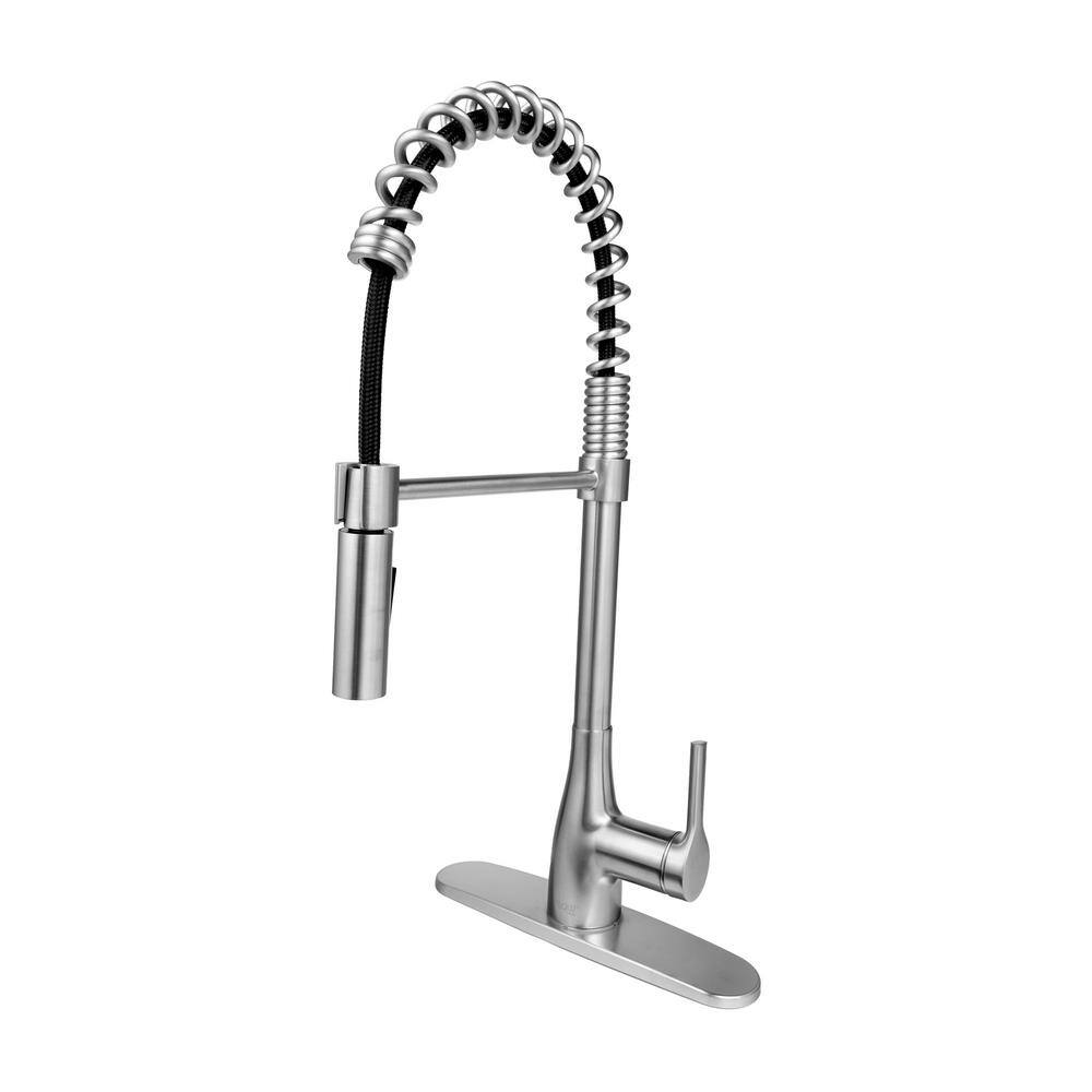 FLOW Classic Series Single-Handle Pull-Down Spring Neck Sprayer Kitchen ...