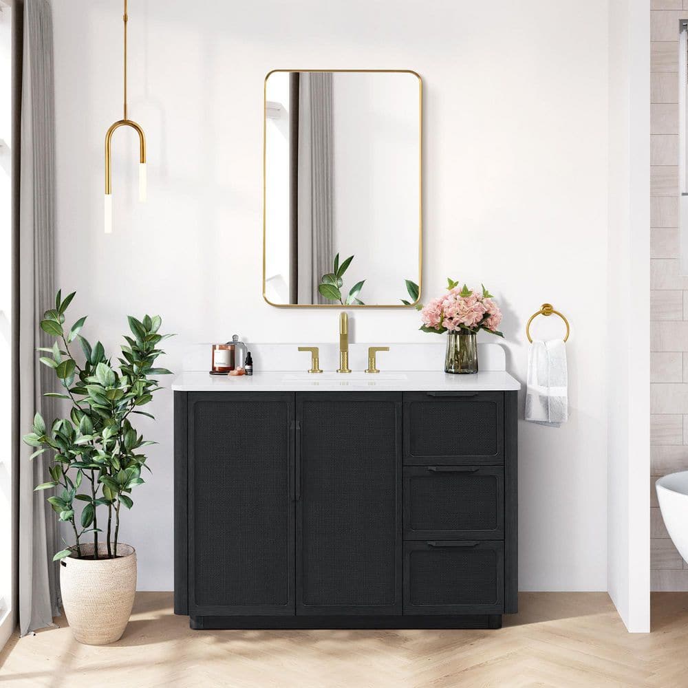 ROSWELL Busan 48 in. W x 22 in. D x 33.9 in. H Single Bath Vanity in Oak Classic Black with ...